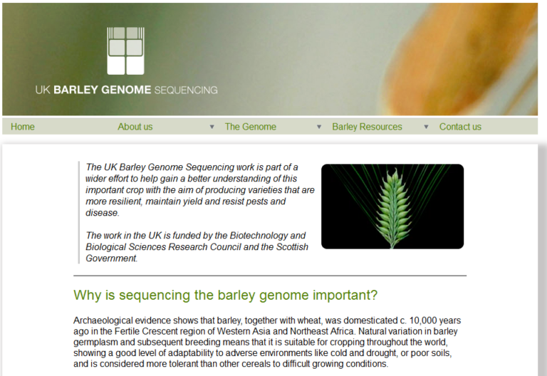 Web Sites & Databases : Information & Computational Sciences