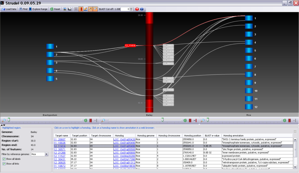 Strudel Screenshots : Information & Computational Sciences