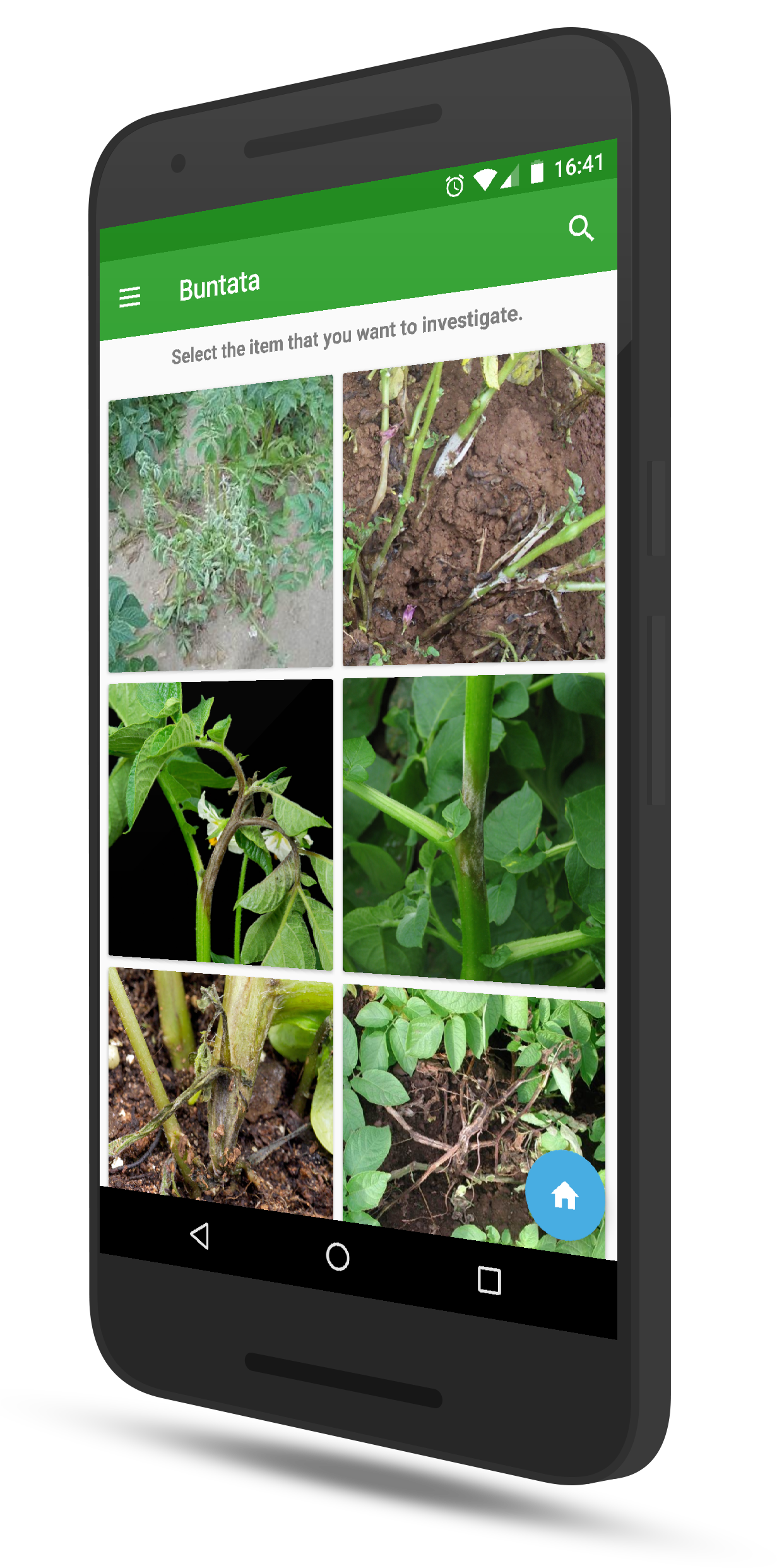 Buntata : Information & Computational Sciences